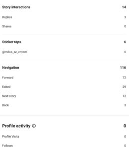 The Ultimate Exploration of IG Story Views and Engagement | Flock Social