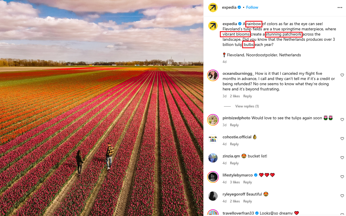 Social Media: How to Write Viral Instagram Posts